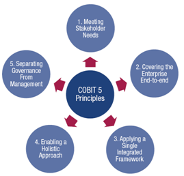 Principles-of-Cobit5 - QAI Global Services